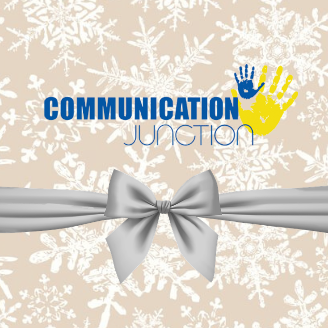 PRE-ORDER Communication Junction 2024 Ornament – Bushbaby Inc